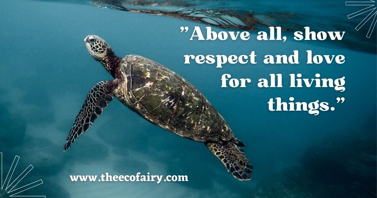 Compassion for All Living Beings – The Eco Fairy