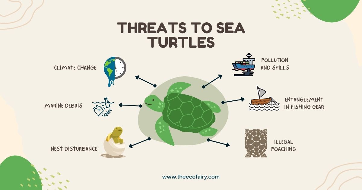 MAN-MADE THREATS TO SEA TURTLES – The Eco Fairy