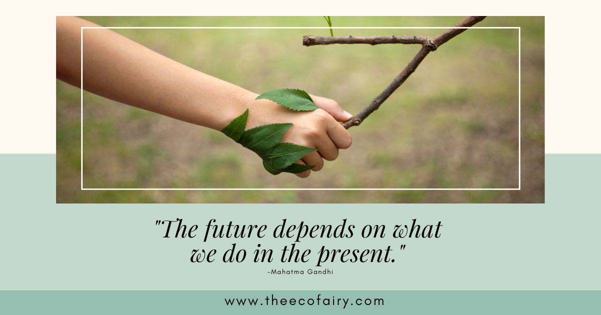 5 Ways You Can Do To Help The Environment – The Eco Fairy
