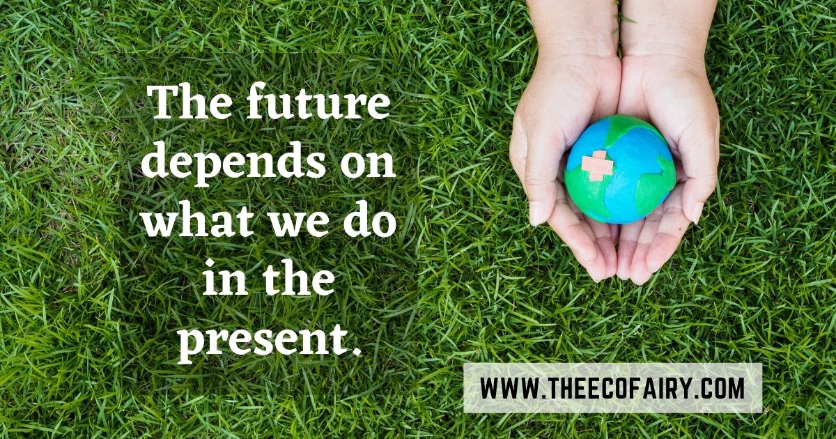 5 Easy Ways to Live More Sustainably – The Eco Fairy