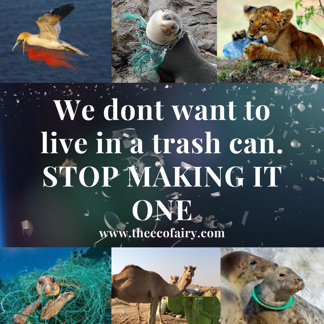 How Litter Affects Animals