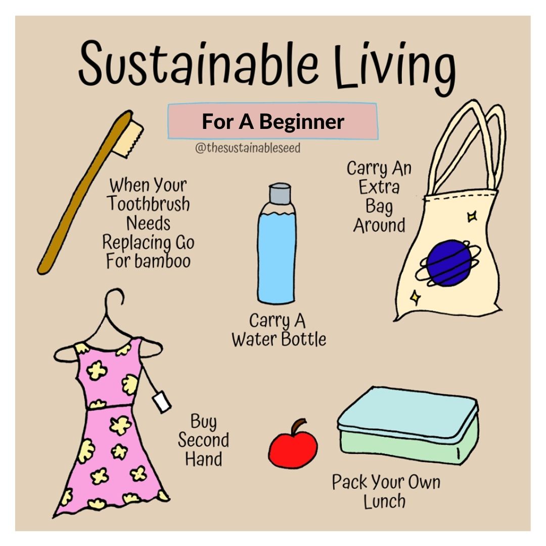 Sustainable Living for a Beginner – The Eco Fairy